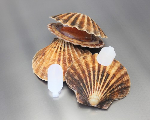 Design & Development | Glendale Mouldings